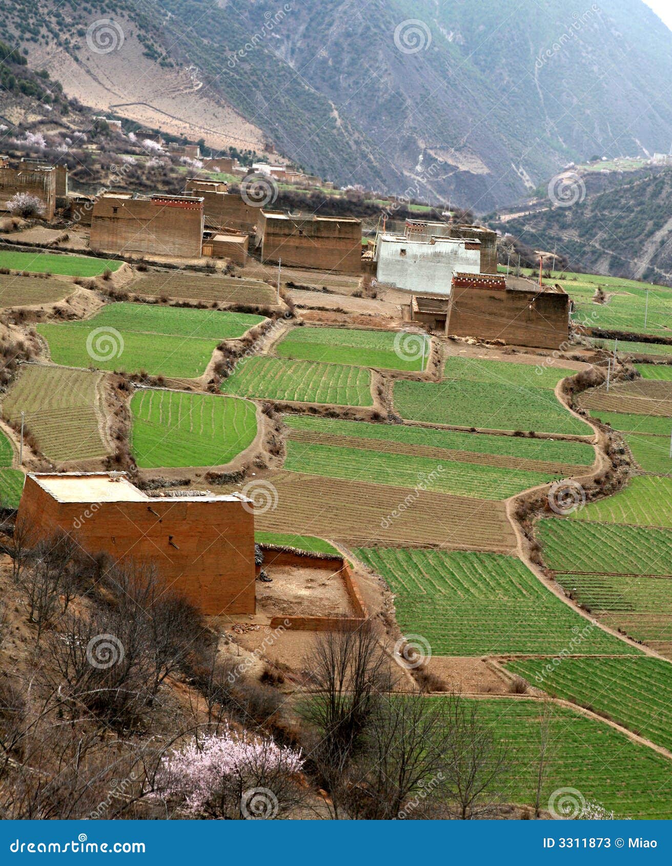 Tibet Village stock image. Image of green, farming, mountains - 3311873