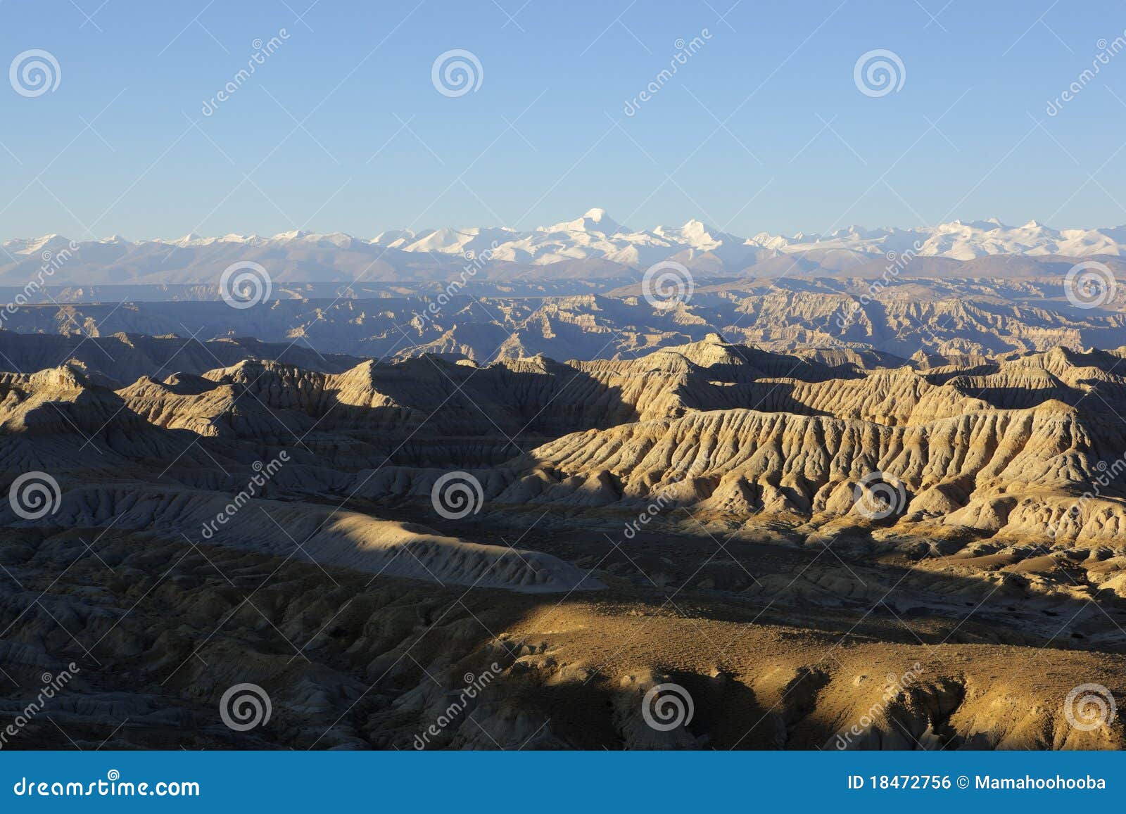 Tibet: zanda clay forest stock photo. Image of alpine - 18472756