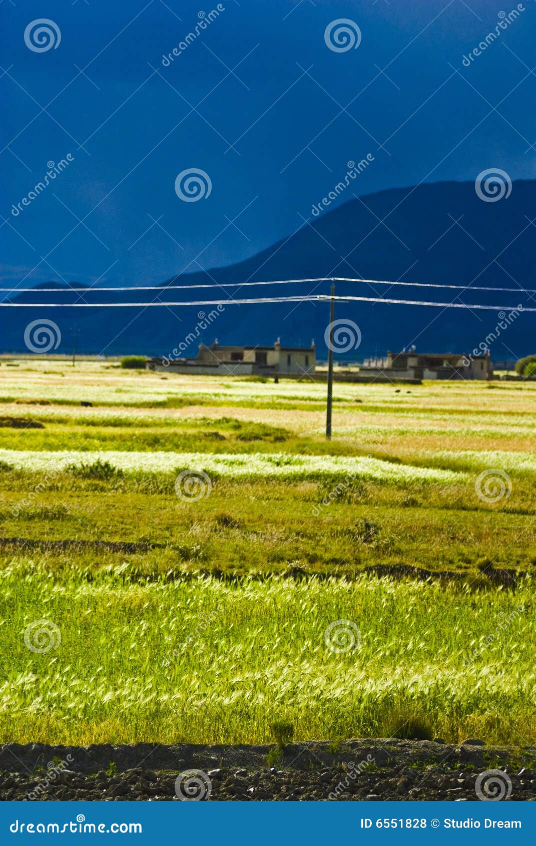 Tibetan Countryside stock photo. Image of green, mountain - 6551828