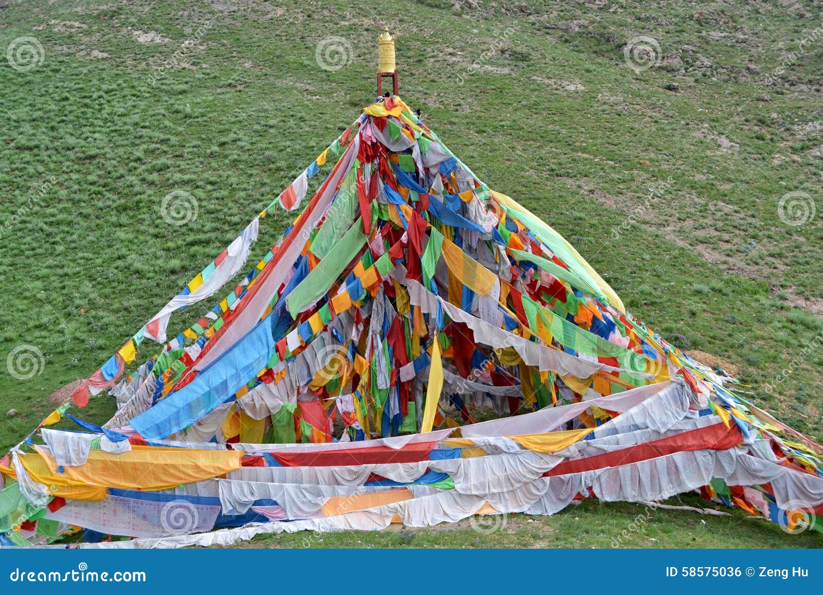 Tibetan Grayer Stock Photos - Free & Royalty-Free Stock Photos from ...