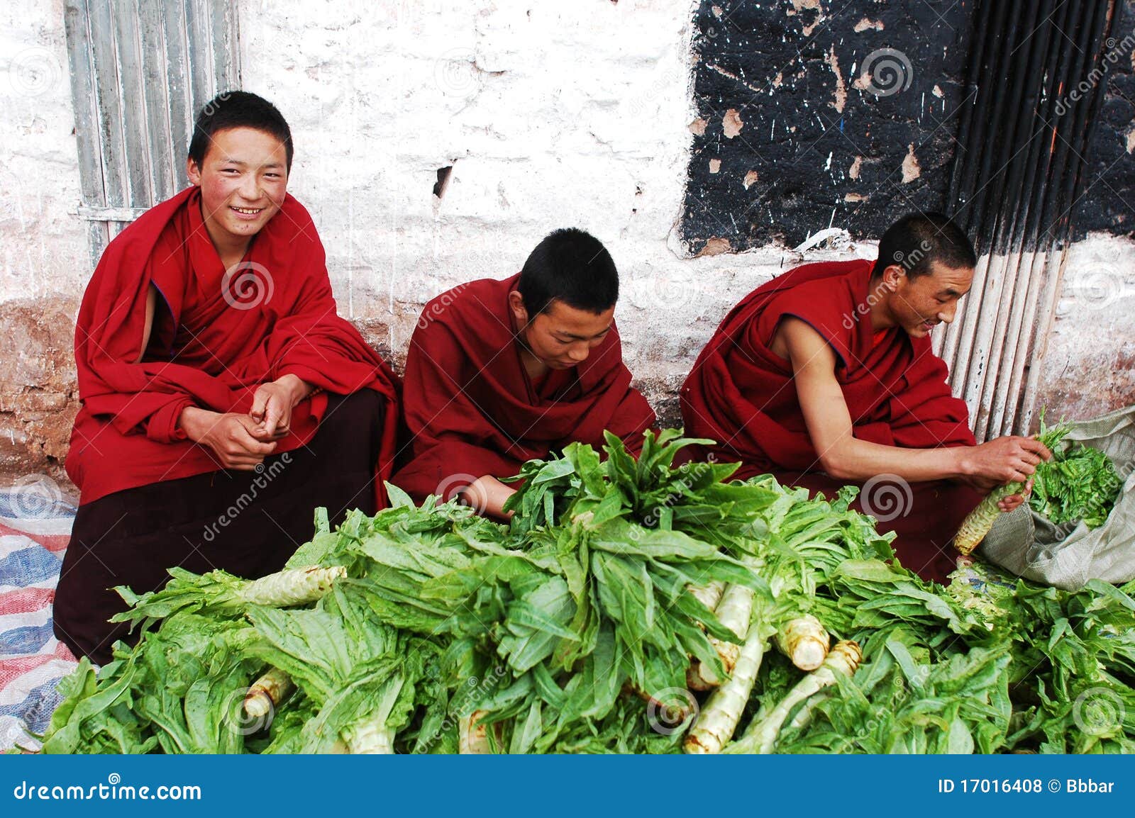 Tibetan monks editorial stock photo. Image of eyes, colorful - 17016408