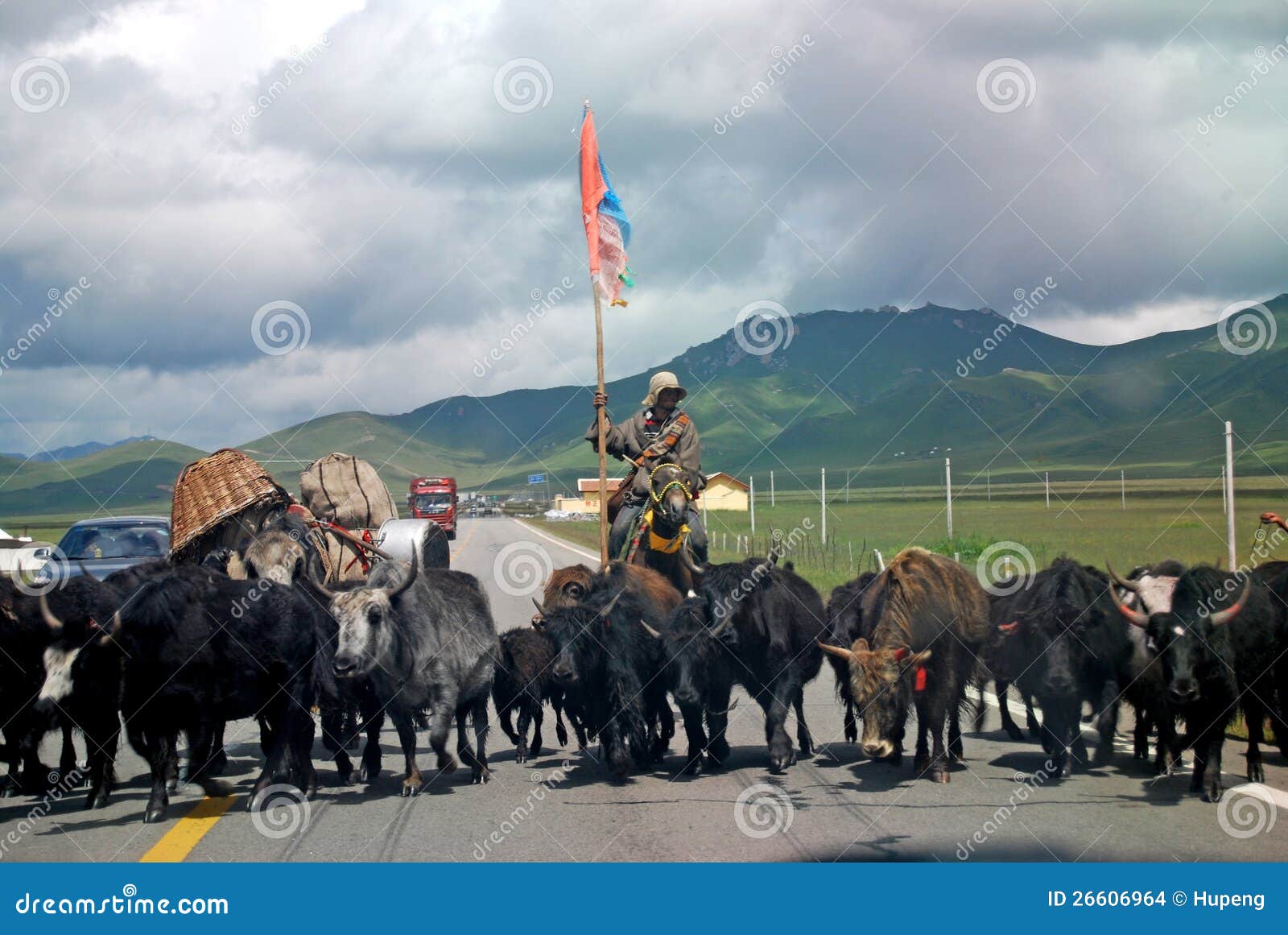 Tibetan people wiht yak editorial stock image. Image of animals - 26606964
