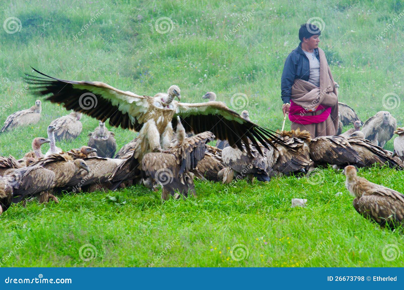 Tibetan sky burial editorial stock photo. Image of tibet - 26673798