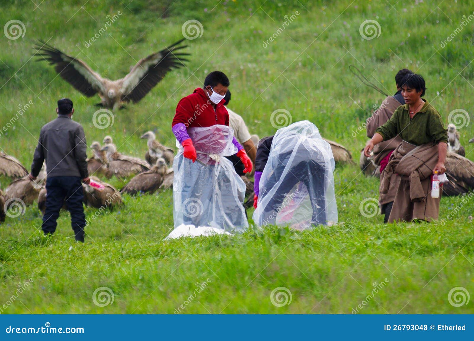 Tibetan sky burial editorial stock photo. Image of burial - 26793048