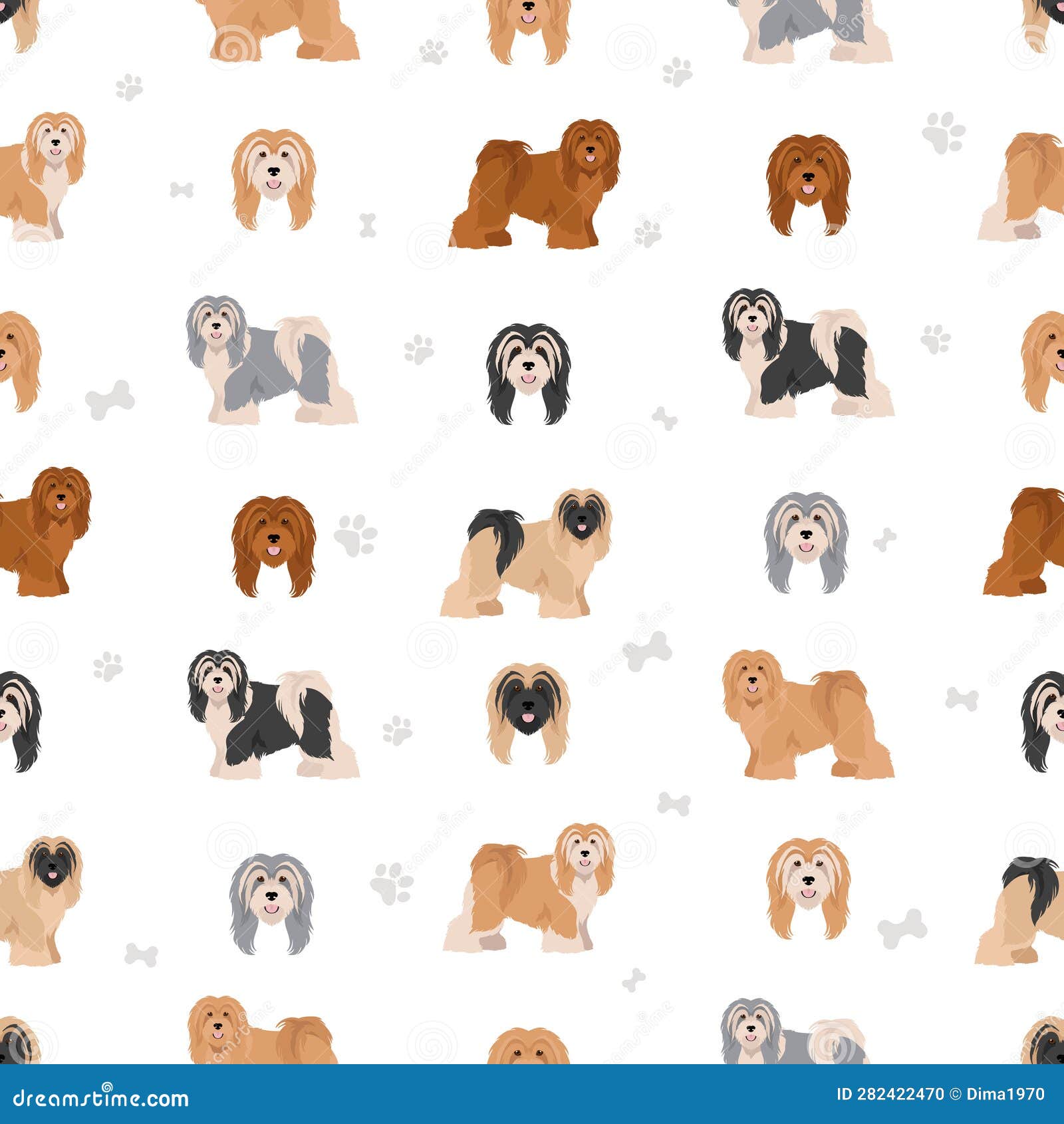Tibetan Terrier Seamless Pattern. Different Poses, Coat Colors Set ...