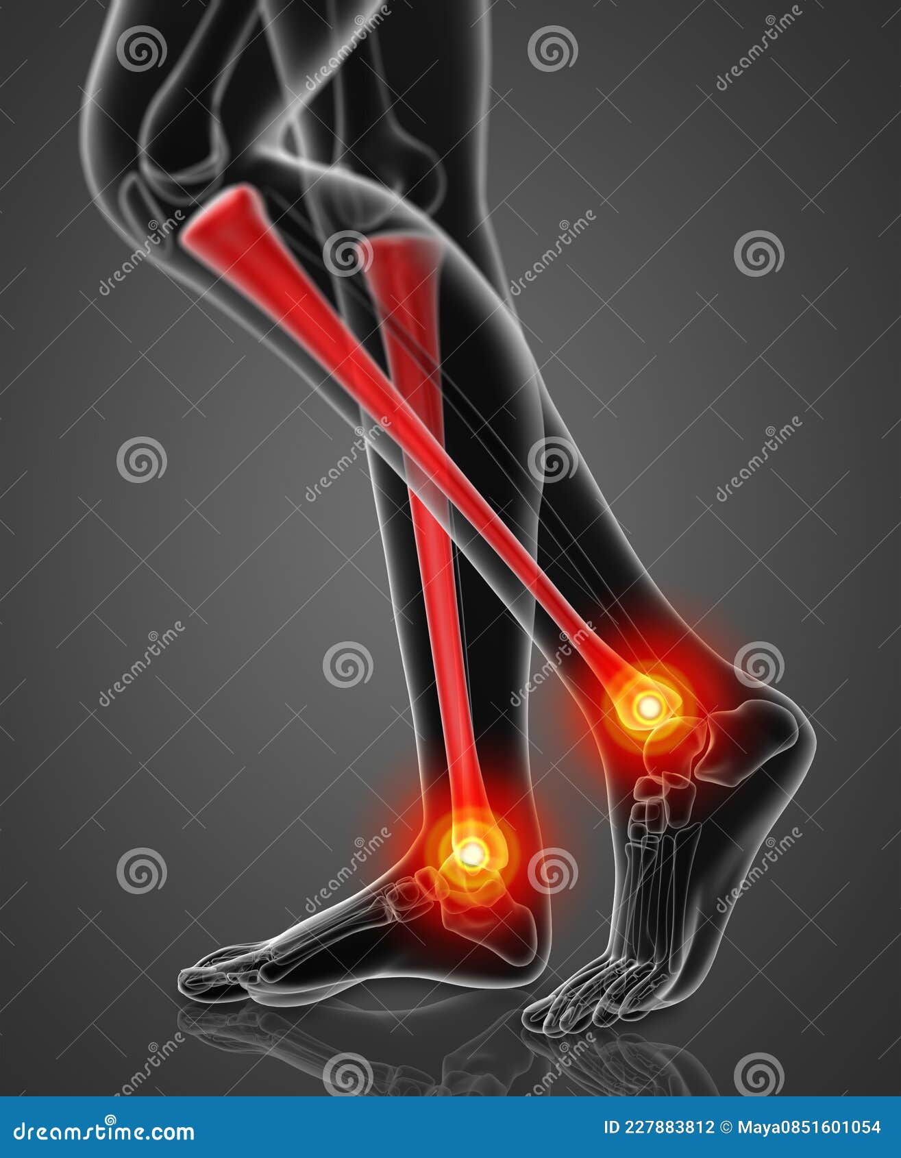 3D rendering of tibia bone stock illustration. Illustration of health ...