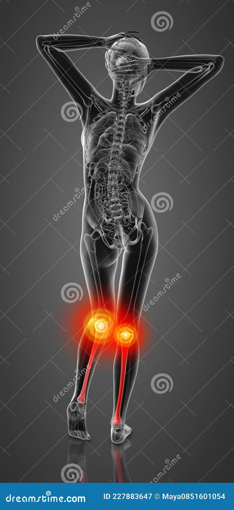 3D rendering of tibia bone stock illustration. Illustration of ...