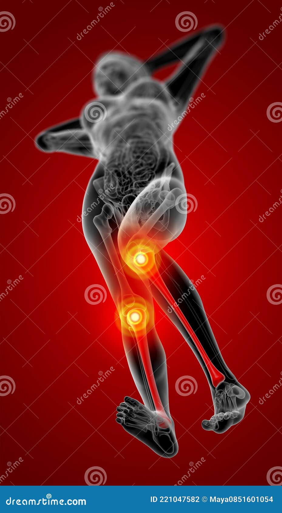 Tibia Bone Royalty-Free Illustration | CartoonDealer.com #82857771