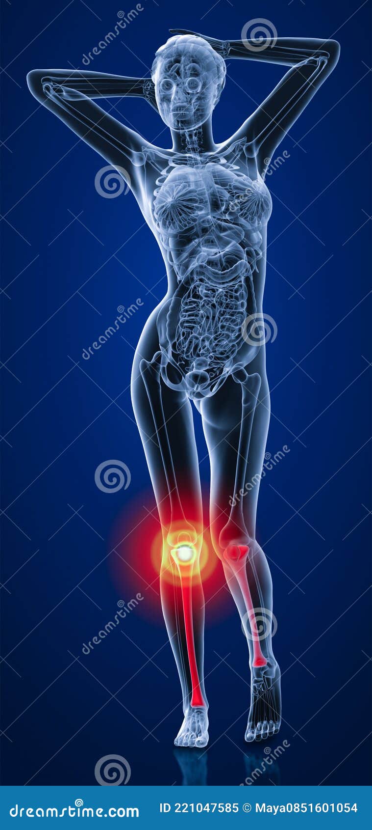 3D Rendering Illustration of Tibia Bone Stock Illustration ...
