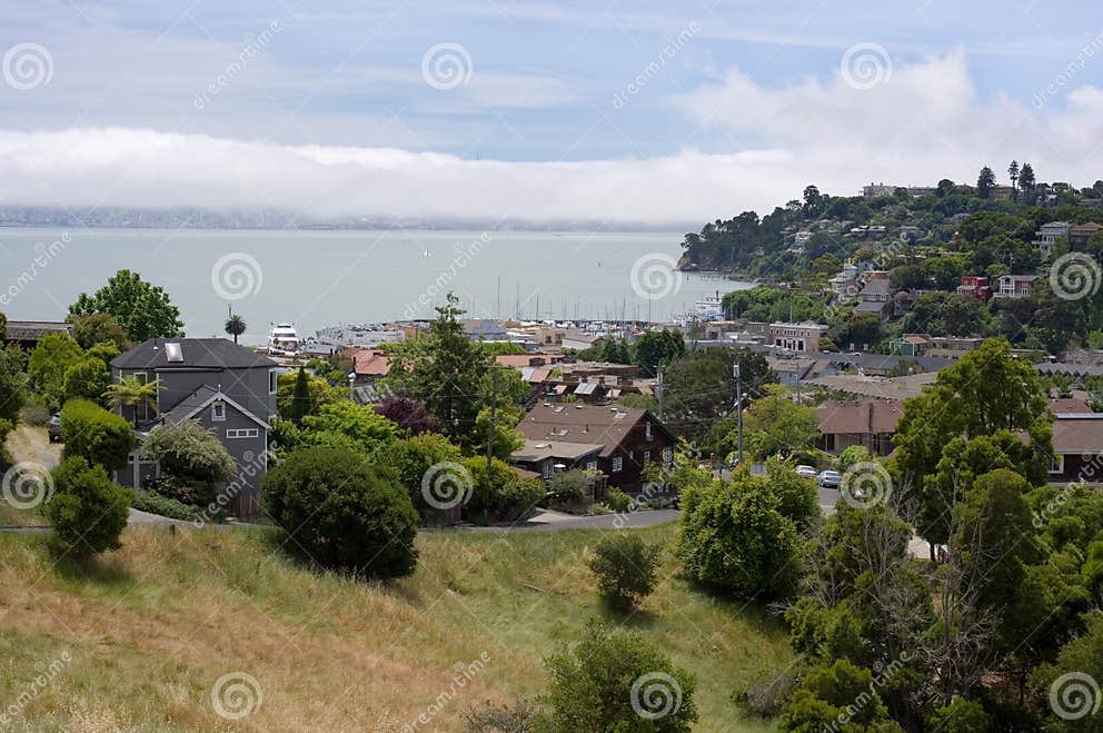 Tiburon California stock image. Image of nature, boats - 16569897