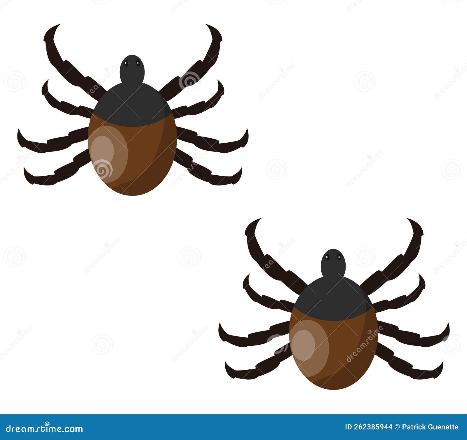 Tick bugs, icon stock vector. Illustration of spider - 262385944