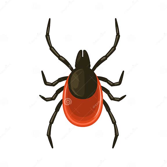 Tick Icon on White Background. Flat Style Bug Vector Stock Vector ...