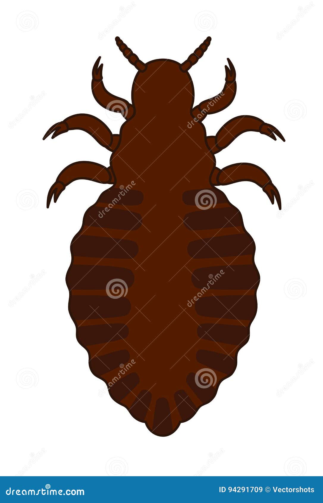 Tick Insect Cartoon Vector | CartoonDealer.com #53556363