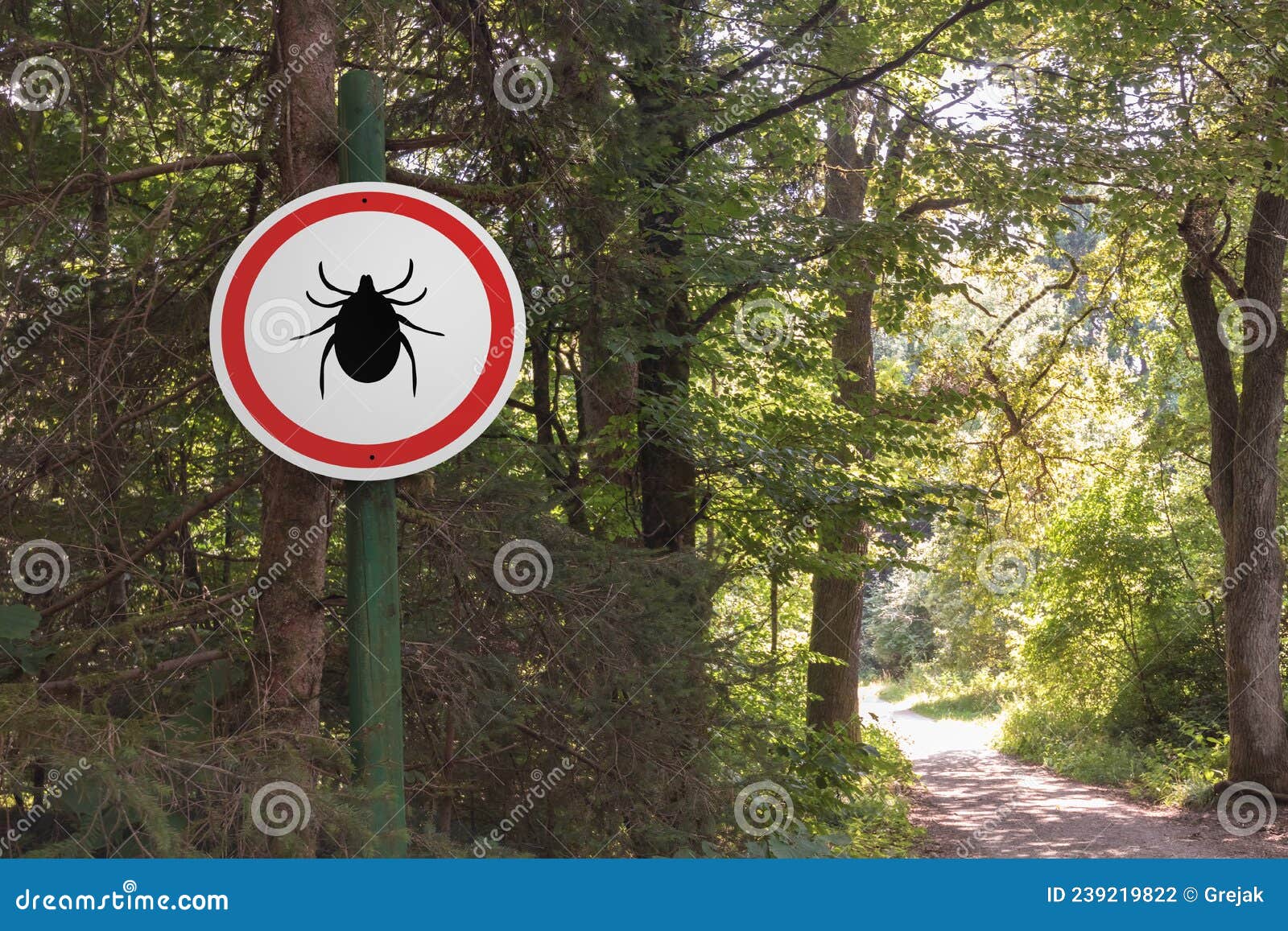 Tick Insect Warning Sign in Forest. Stock Photo - Image of tick ...