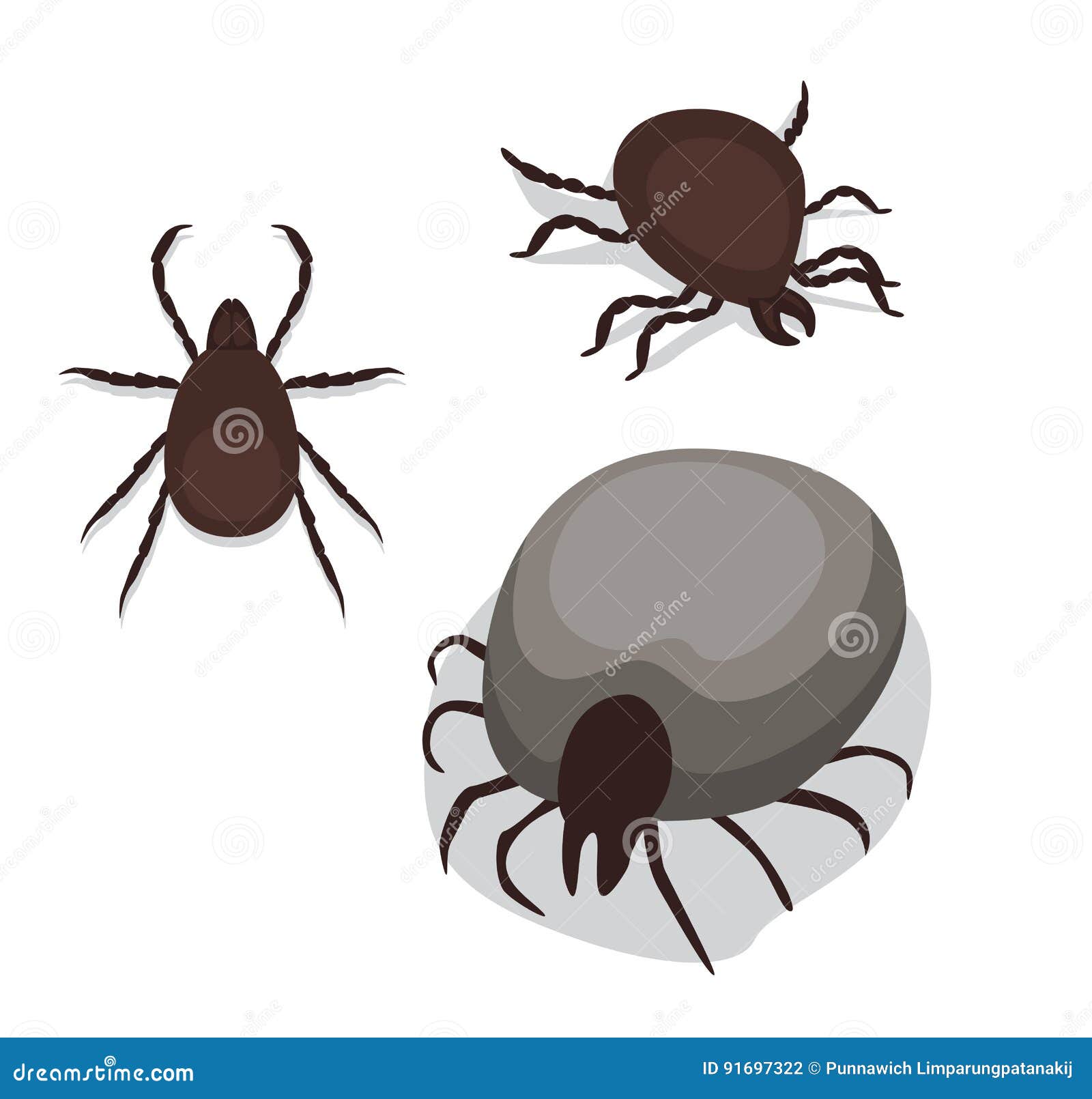 Tick Cartoon Insect