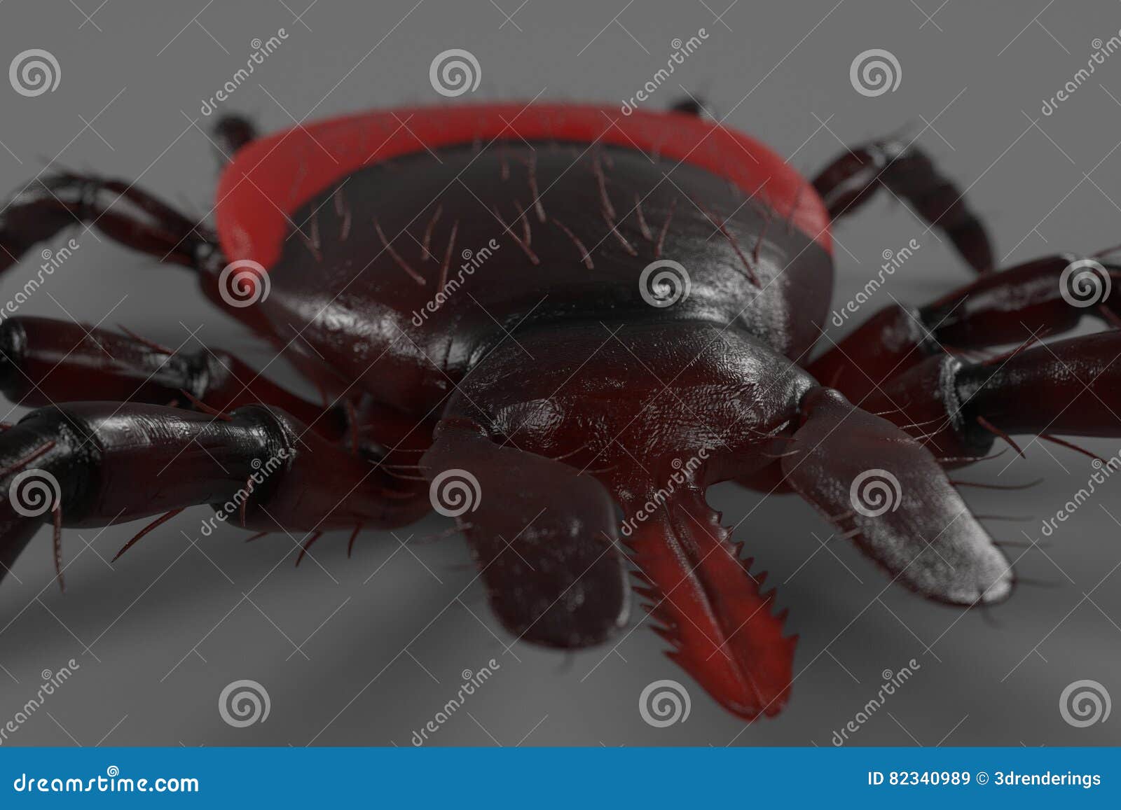 Tick stock illustration. Illustration of ixodes, legged - 82340989