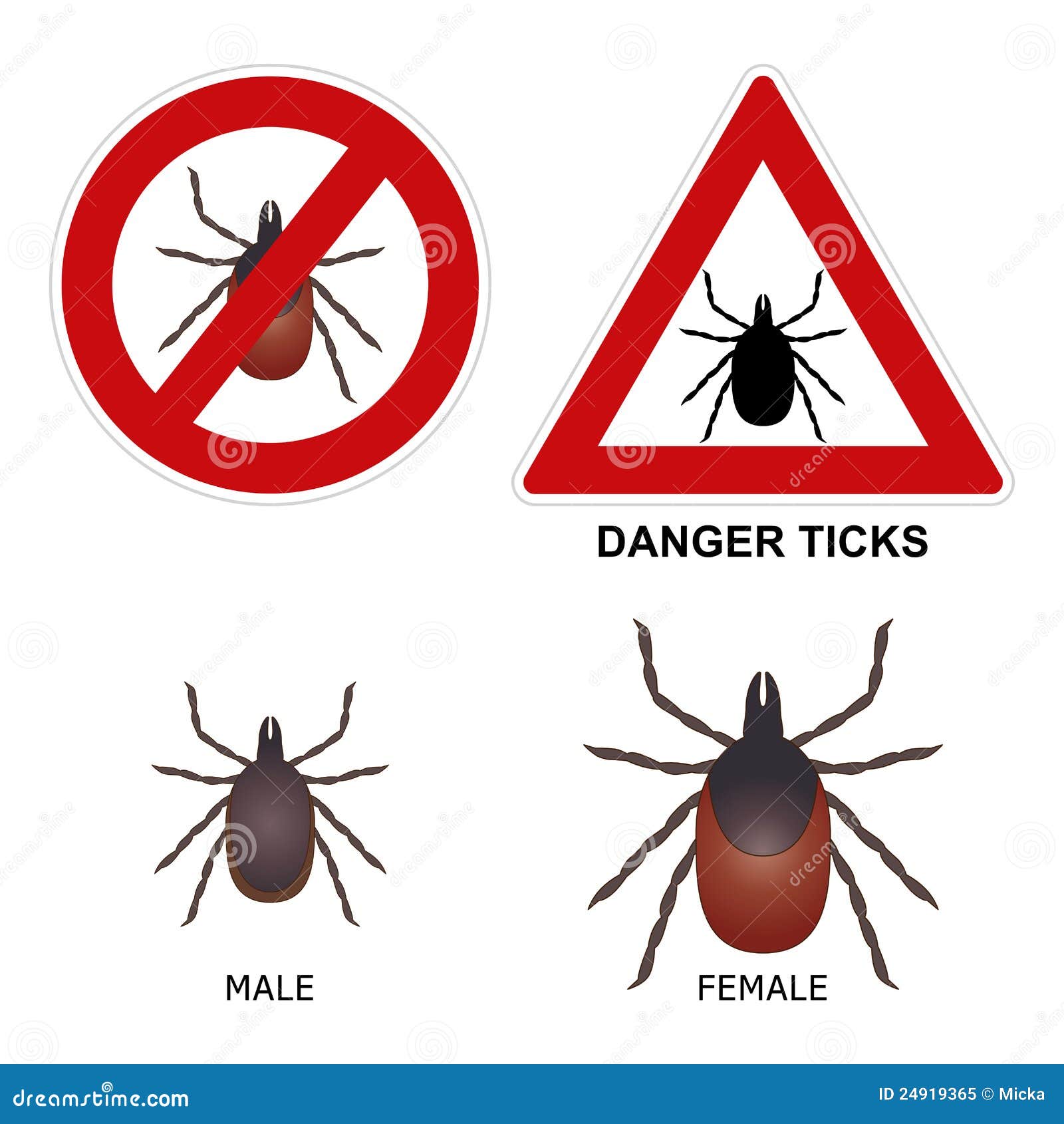 Tick warning sign stock vector. Illustration of detailed - 24919365
