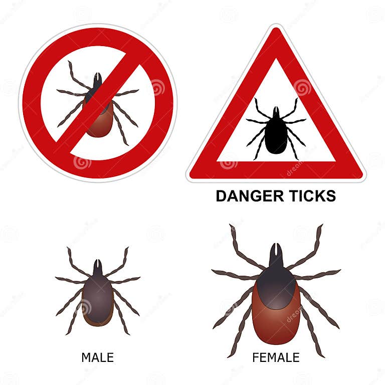 Tick warning sign stock vector. Illustration of detailed - 24919365