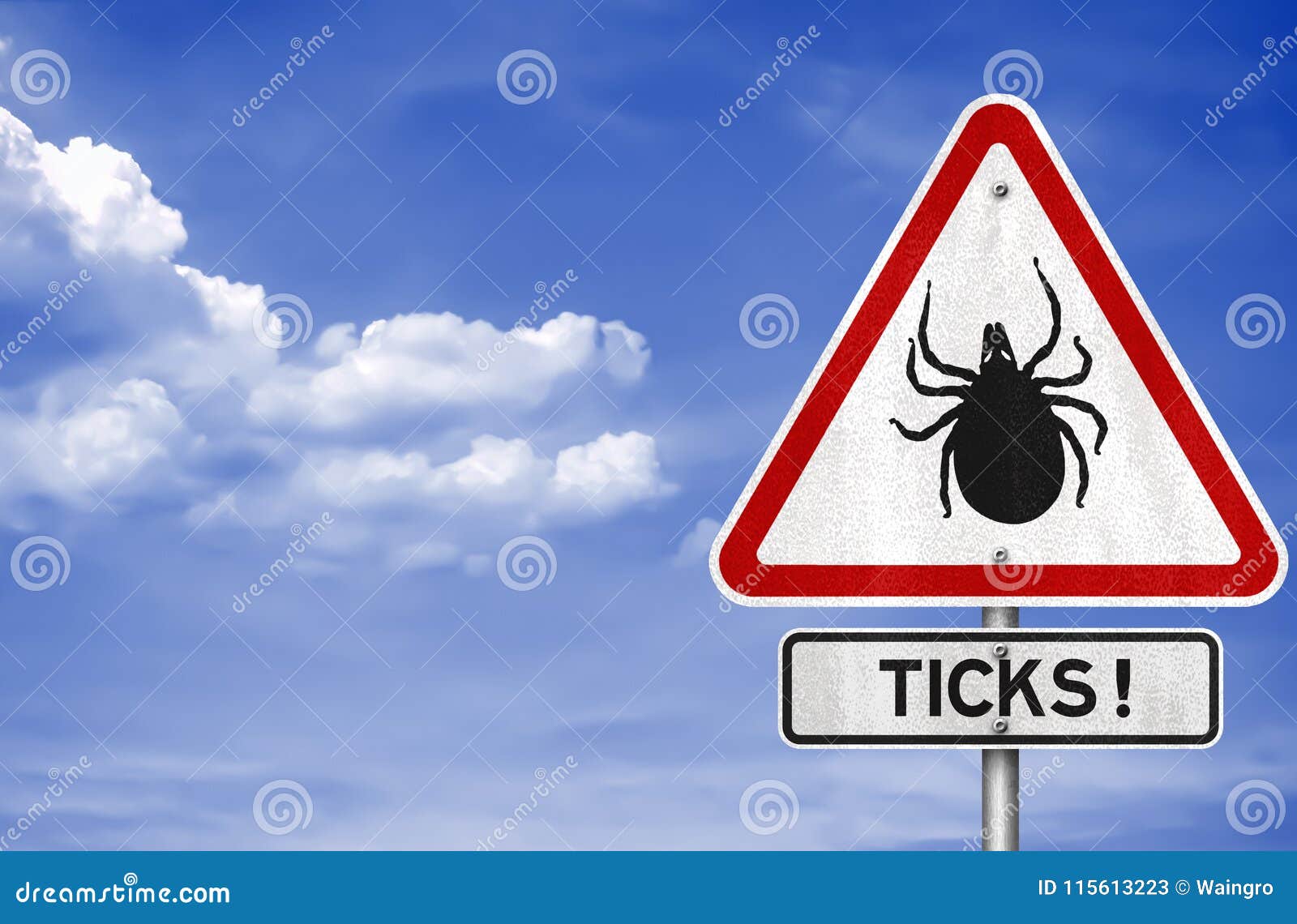 Ticks Warning Sign Royalty-Free Stock Photo | CartoonDealer.com #115613223