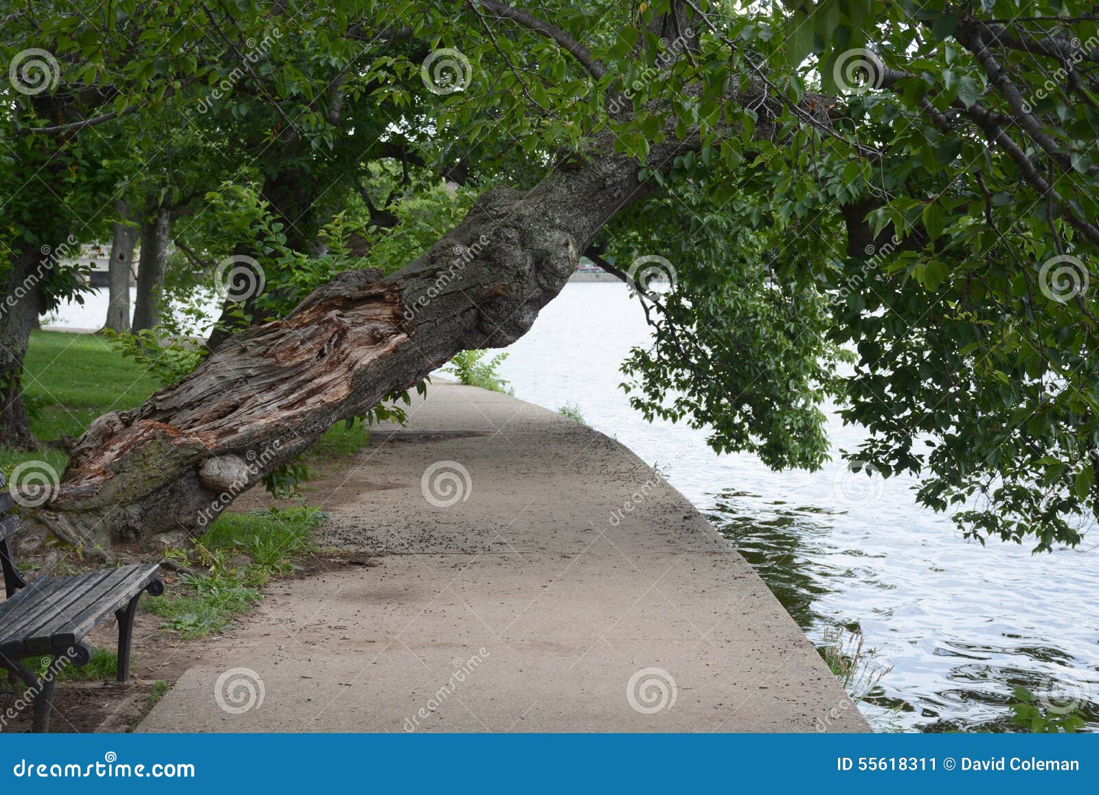 Tidal Basin Walkway stock image. Image of outside, tidal - 55618311