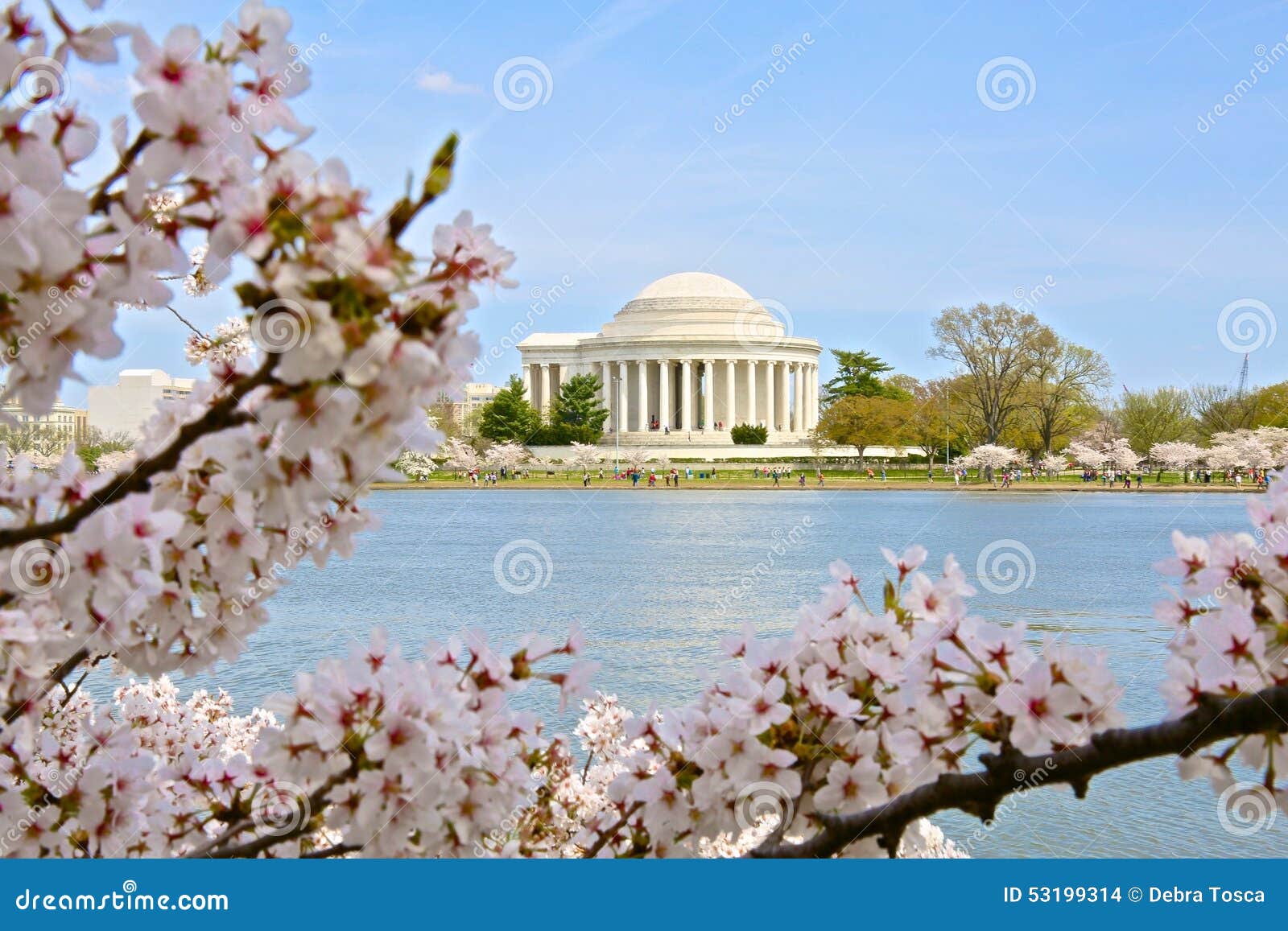 Tidal Basin Jefferson Memorial Washington DC Stock Photo - Image of ...