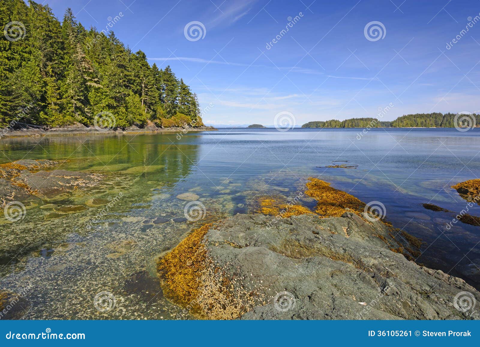 Tidal Bay on an Ocean Coast Stock Image - Image of nature, colorful ...