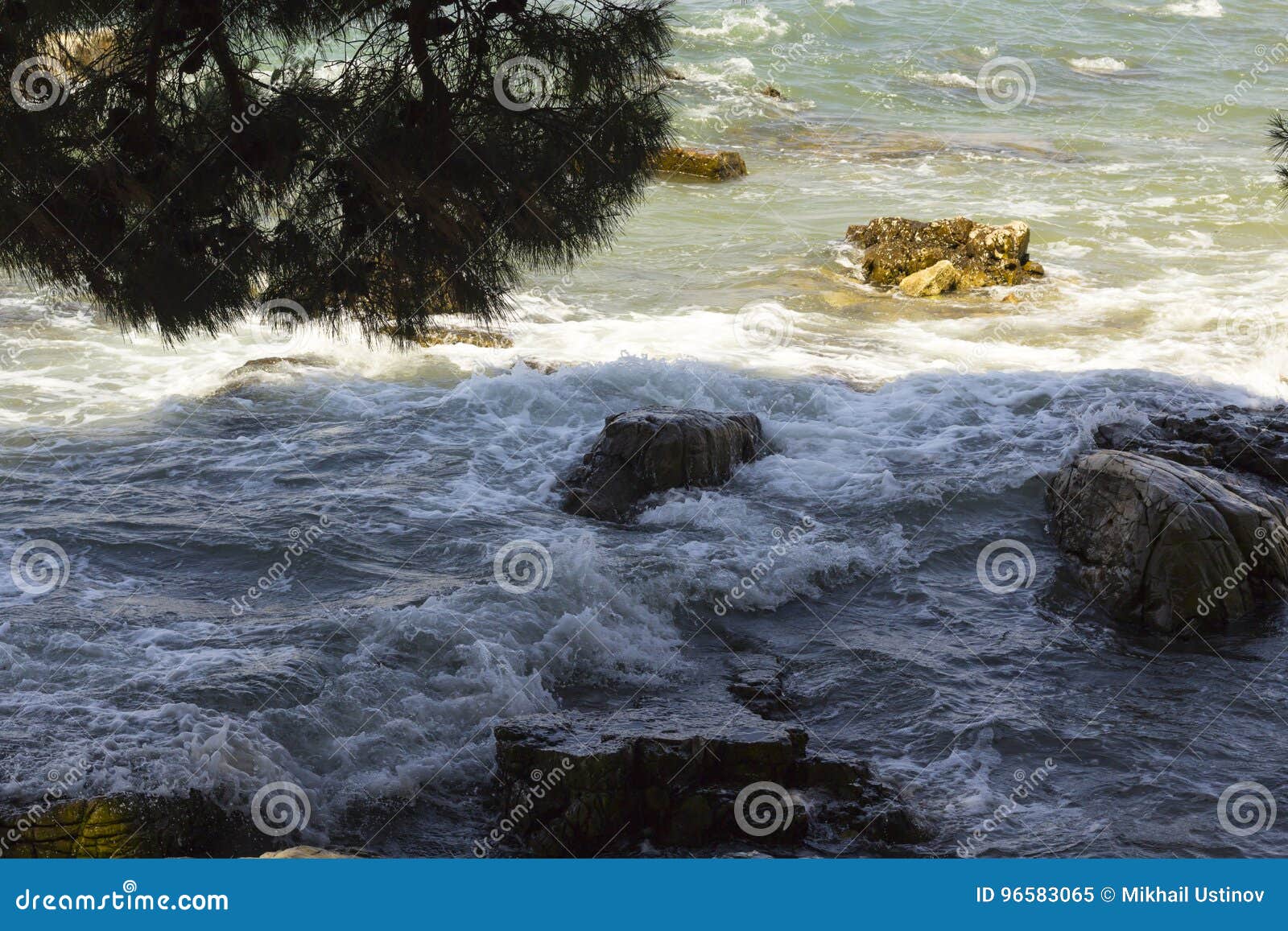 Tidal bore stock image. Image of ocean, lichen, organism - 96583065