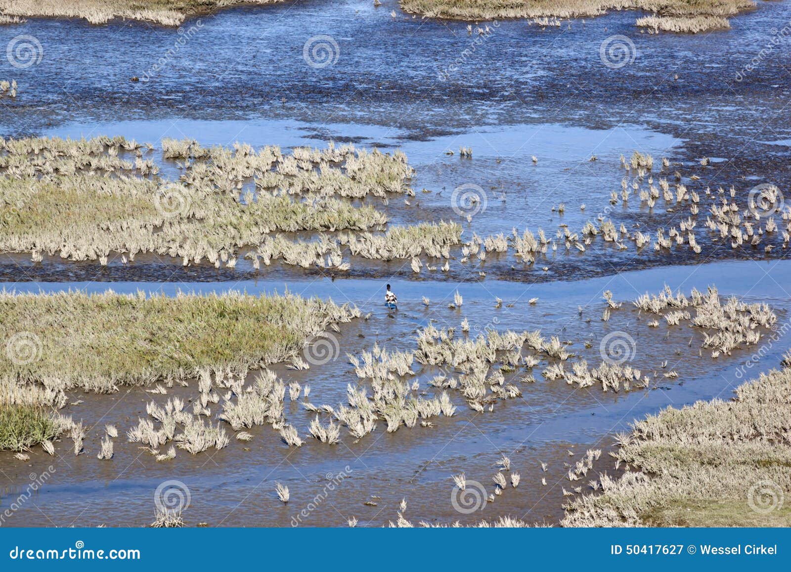 Tidal Influence in Dutch Waddenzee Stock Image - Image of flat ...