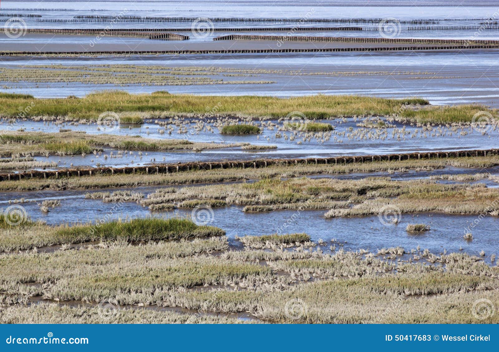 Tidal Influence in Waddenzee, the Netherlands Stock Image - Image of ...
