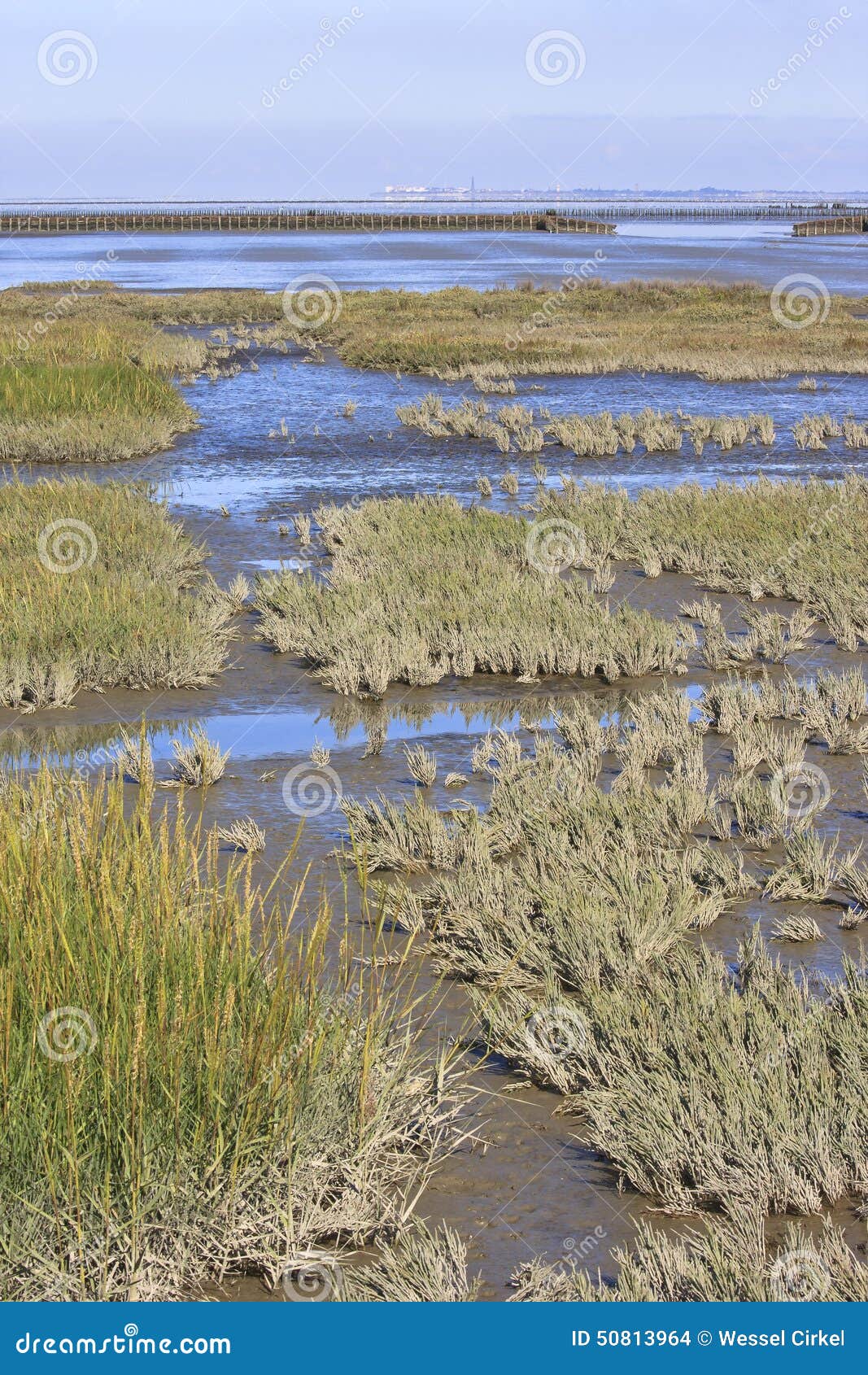 Tidal Influence, Waddenzee in the Netherlands Stock Photo - Image of ...