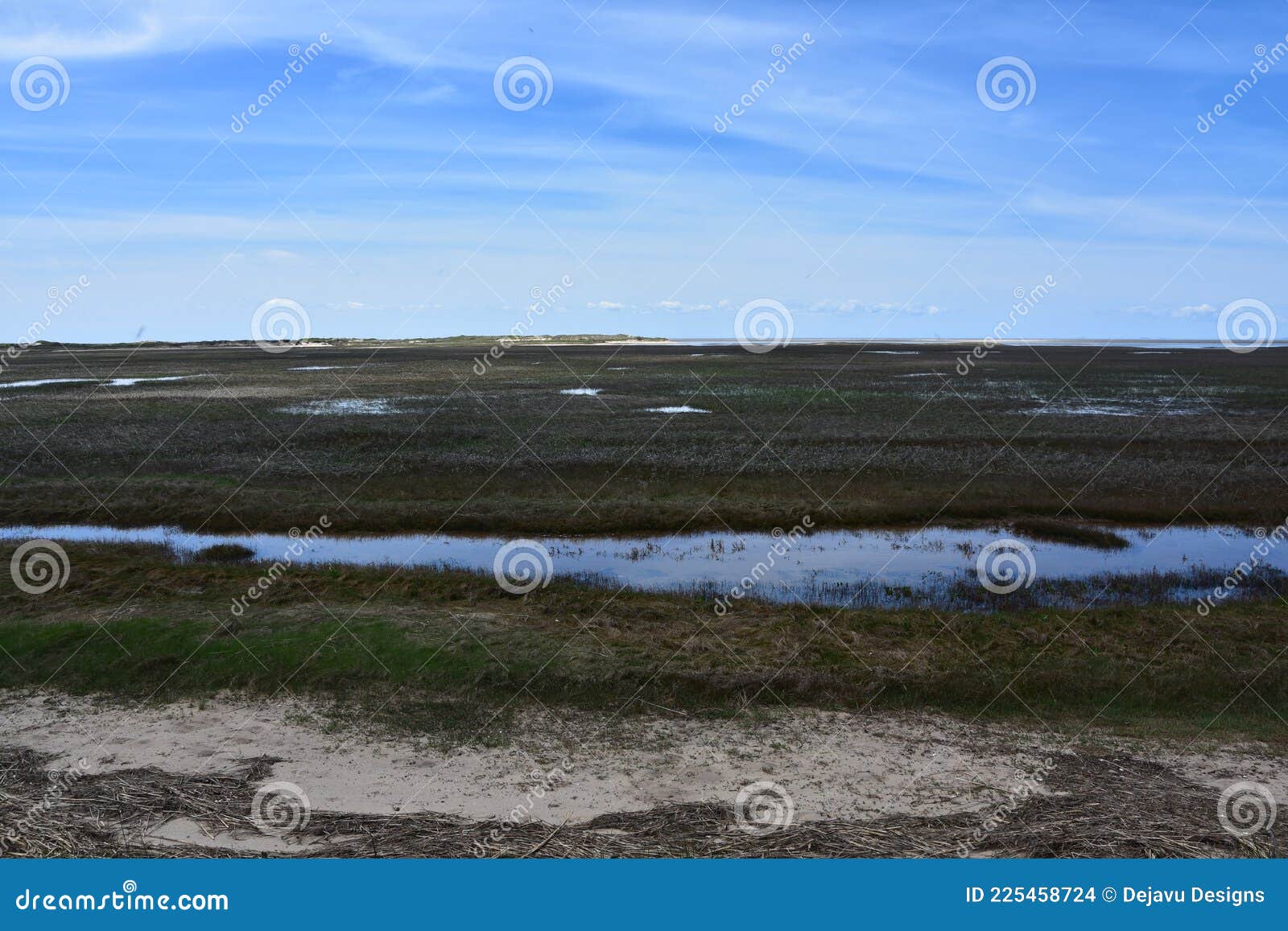 Tidal Lands and Flats Along the Cape Stock Photo - Image of wetlands ...