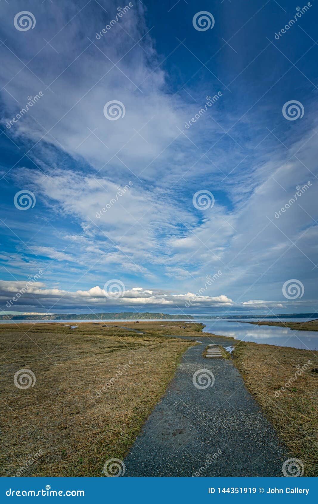Tidal Lands Marsh on Puget Sound Stock Image - Image of road, ocean ...