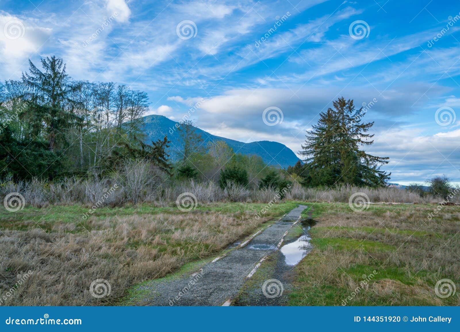 Tidal Lands Marsh on Puget Sound Stock Photo - Image of rural, travel ...