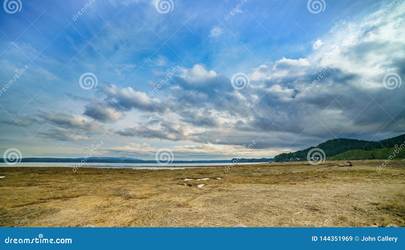 Tidal Lands Marsh on Puget Sound Stock Image - Image of view, water ...