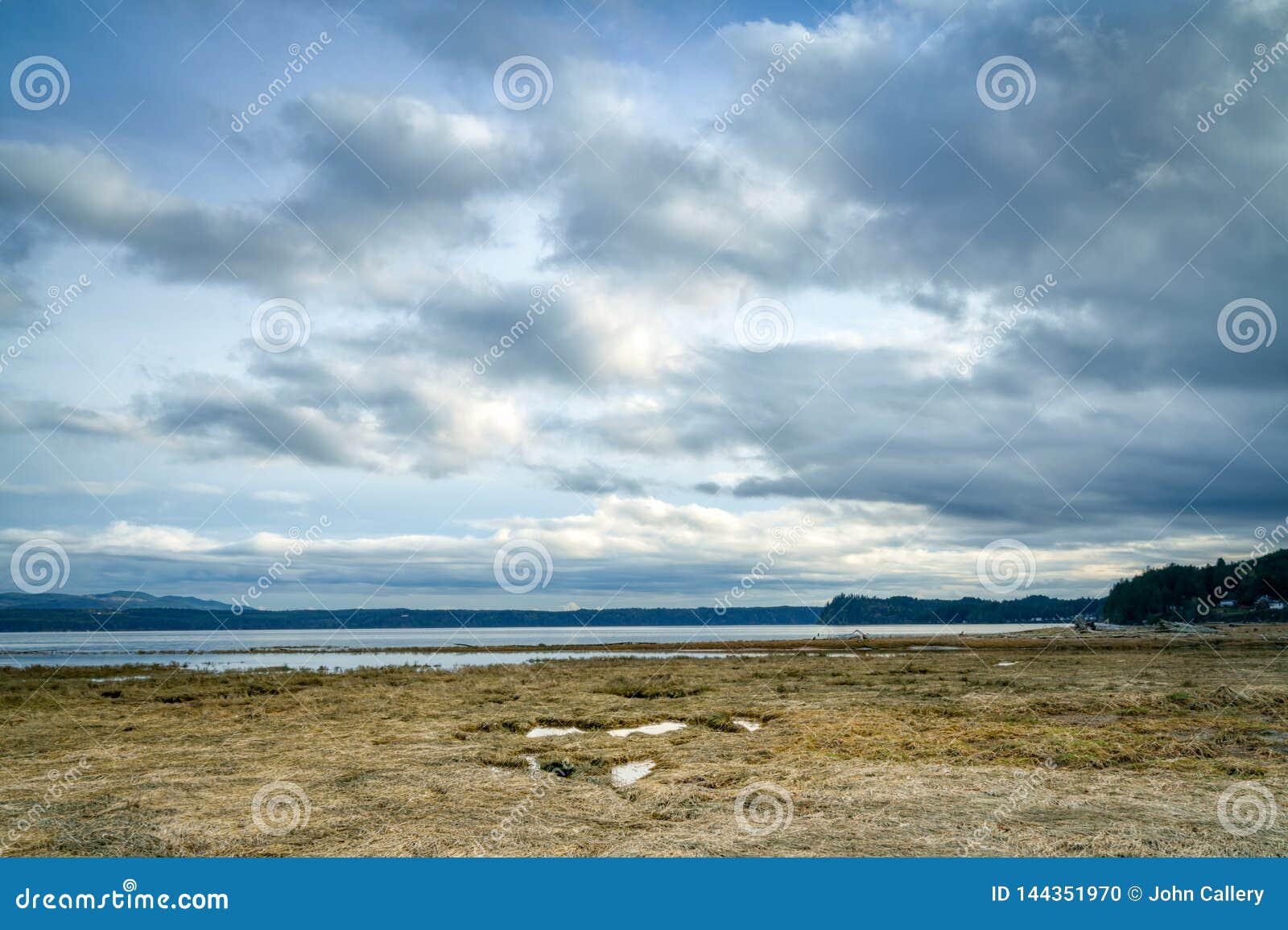 Tidal Lands Marsh on Puget Sound Stock Photo - Image of travel, island ...