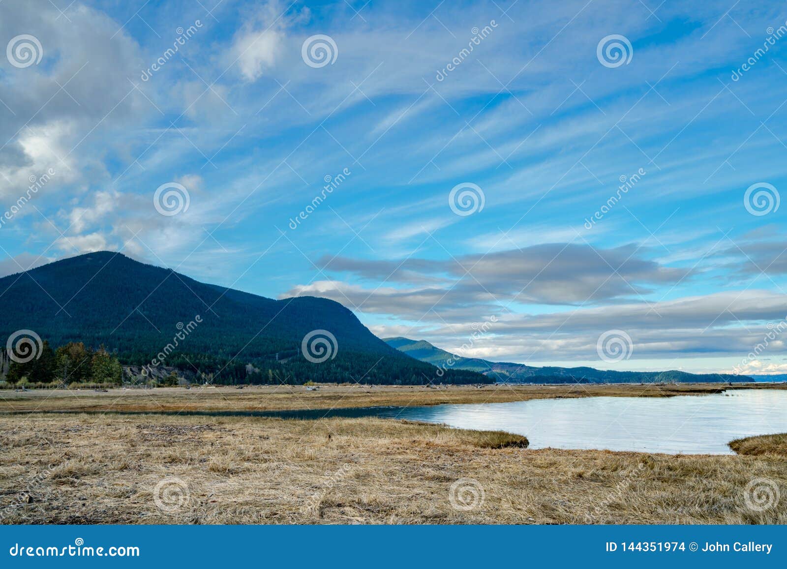Tidal Lands Marsh on Puget Sound Stock Photo - Image of grass, hills ...