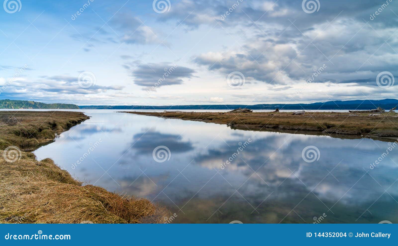 Tidal Lands Marsh on Puget Sound Stock Photo - Image of water, blue ...