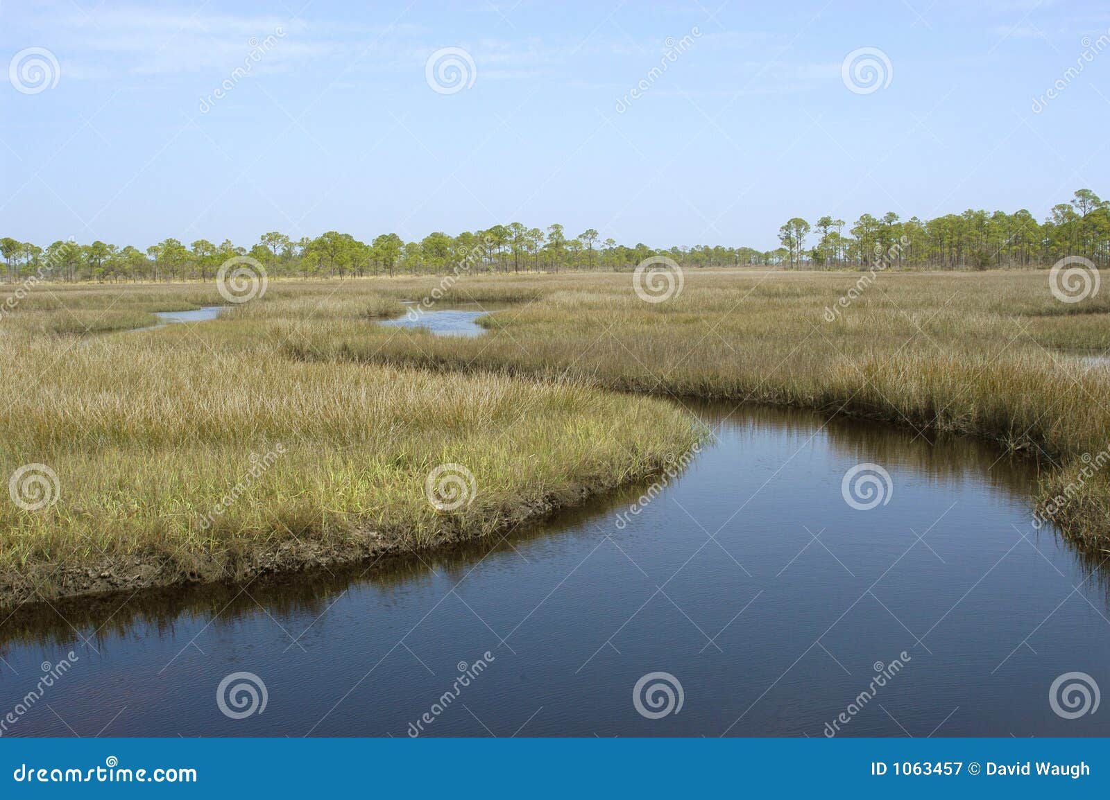 Tidal Marsh stock image. Image of coast, tide, wetland - 1063457