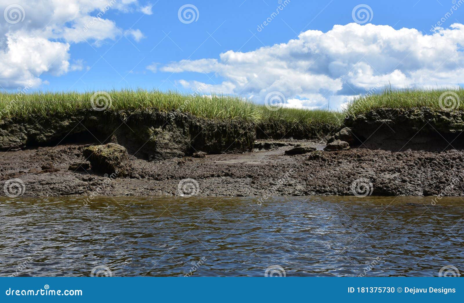 Tidal Marsh with a Tidal River and Grasslands Stock Photo - Image of ...