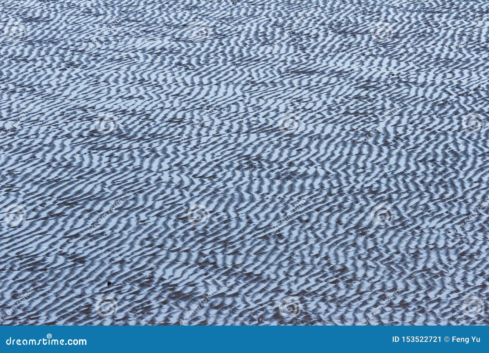 Tidal mud flats stock image. Image of nature, sand, rippled - 153522721