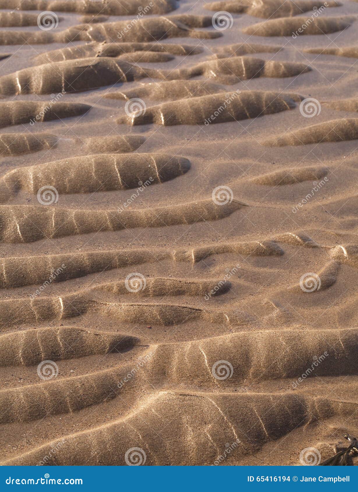 Tidal Patterns. stock photo. Image of sand, background - 65416194