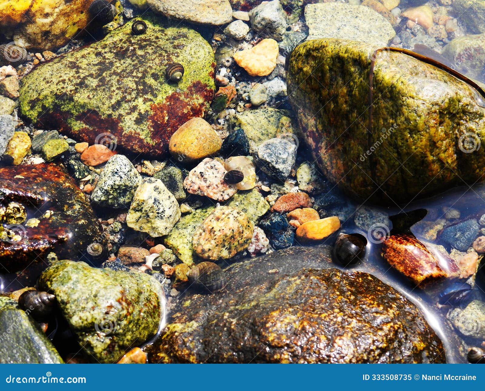 Colorful Tidal Pool Along Connecticut Coastline Stock Image - Image of ...