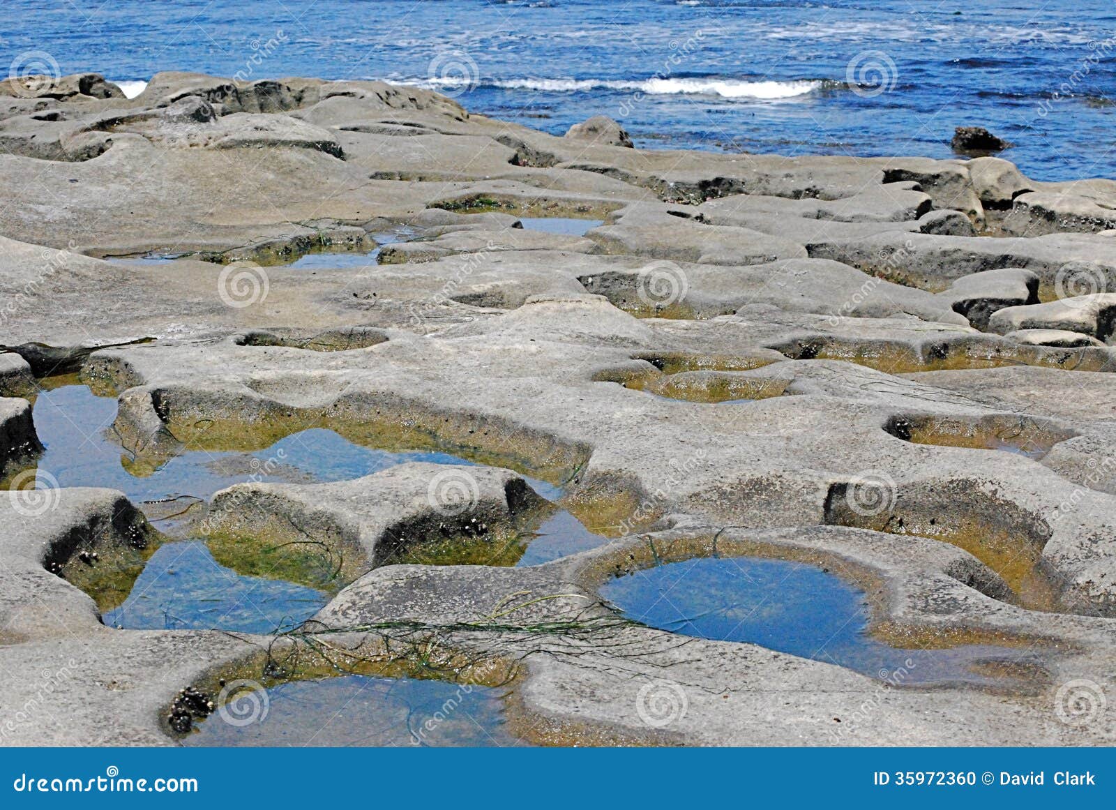 Tidal Pool stock photo. Image of pool, california, pacific - 35972360
