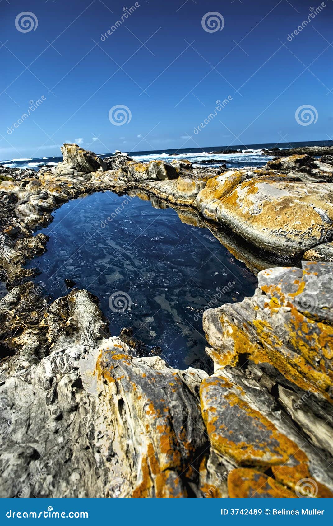 Tidal pool in rocks stock image. Image of nature, detail - 3742489