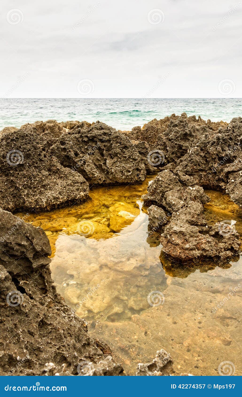 Tidal Pool at a Rough Limestone Shore Stock Image - Image of rough ...