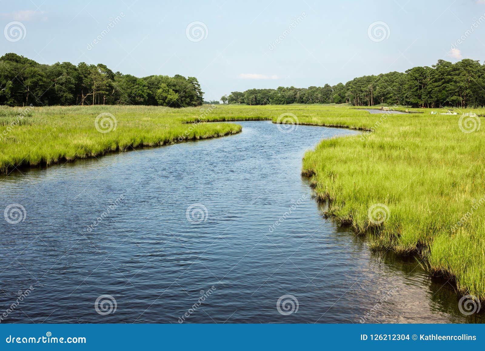 Tidal Pool Stream through Salt Marsh Stock Photo - Image of protected ...