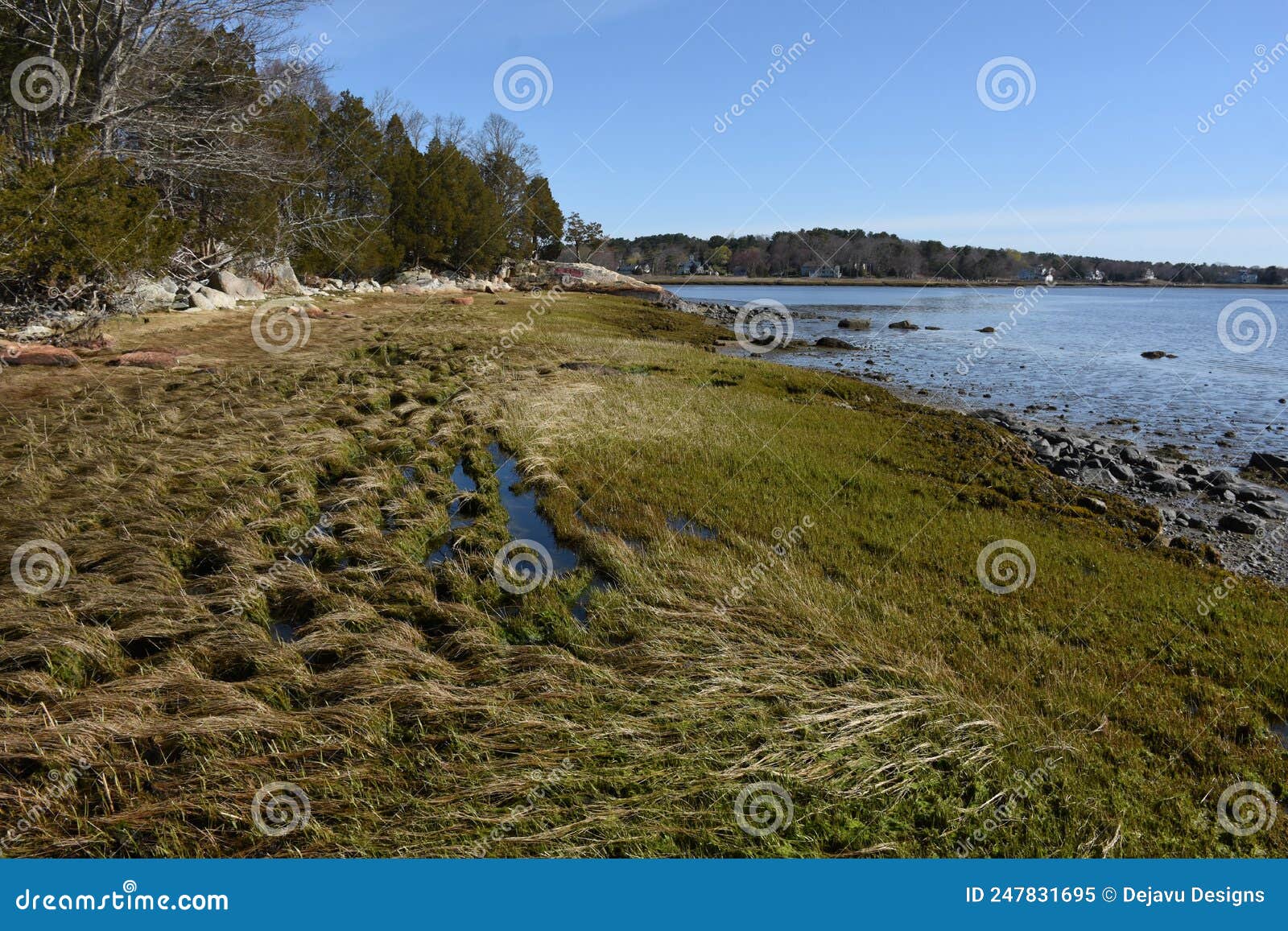Tidal Pools Along a Salt Marsh beside the Ocean Stock Image - Image of ...