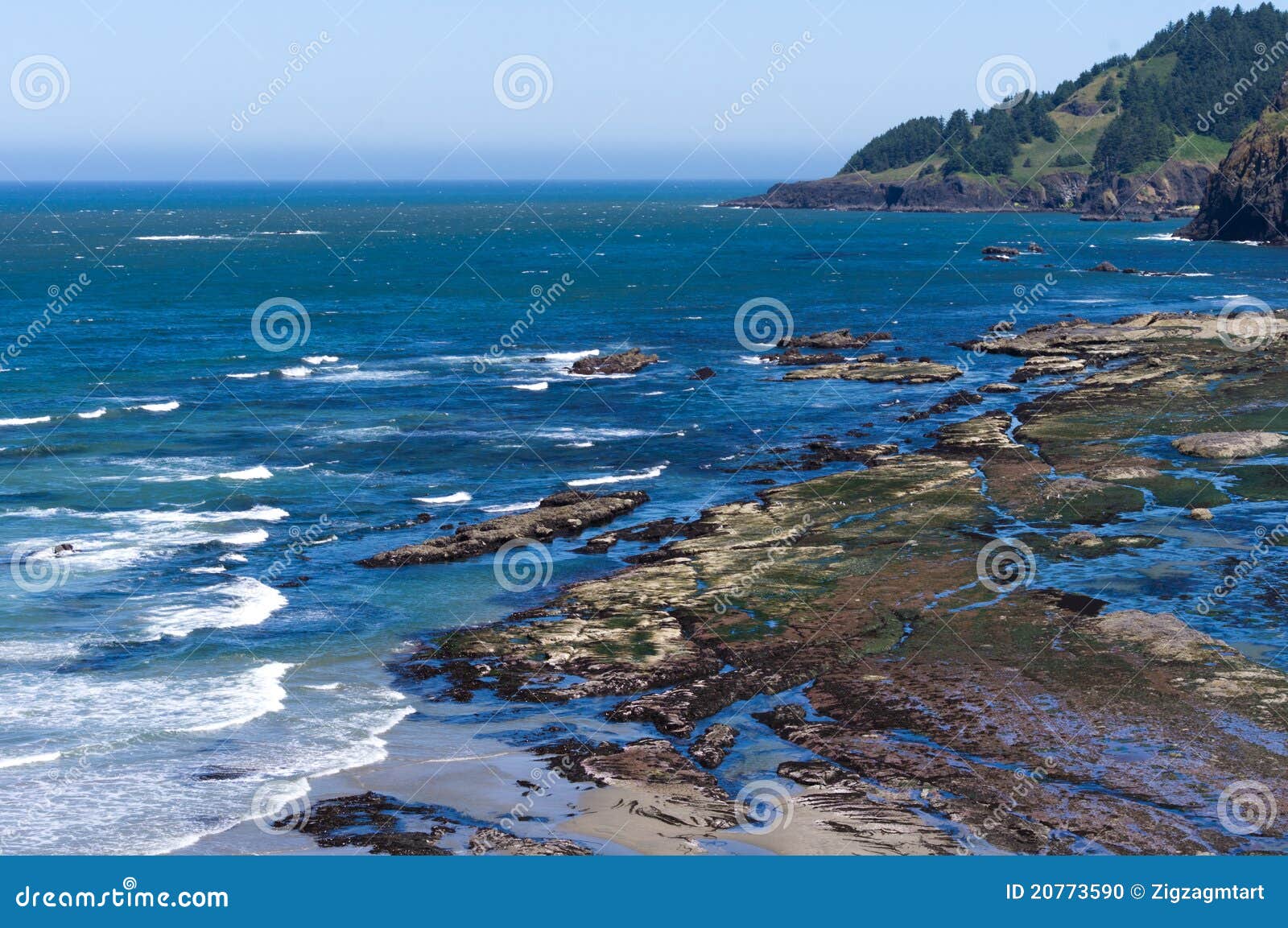 Tidal Pools on Oregon Coast Stock Photo - Image of pacific, united ...