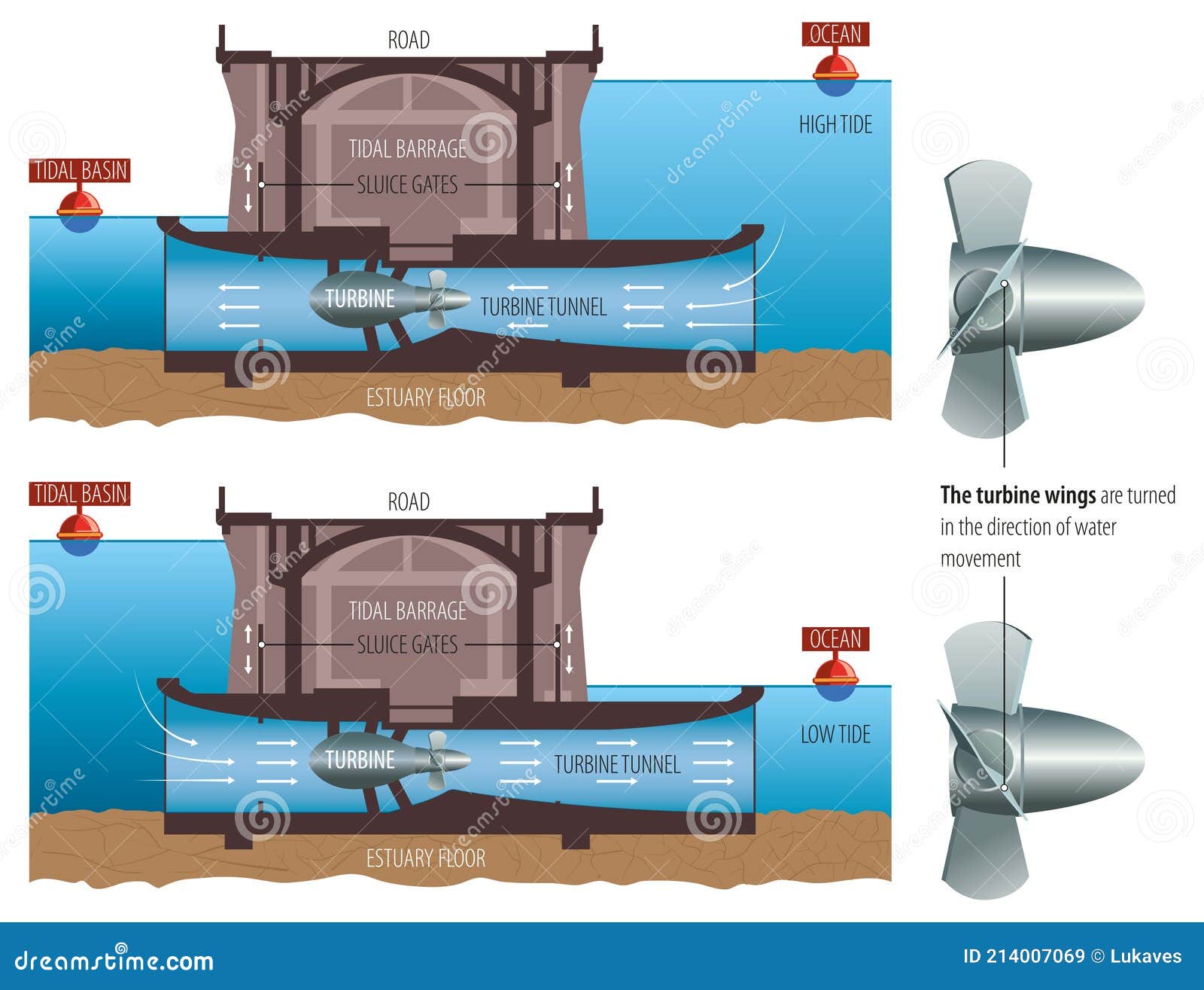 Tidal Energy Diagram For Kids