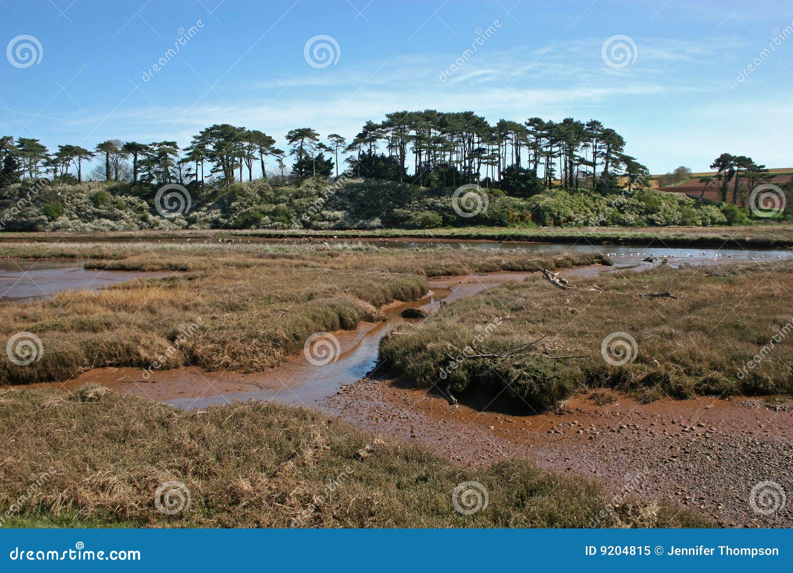 Tidal river stock image. Image of bank, water, tide, tidal - 9204815